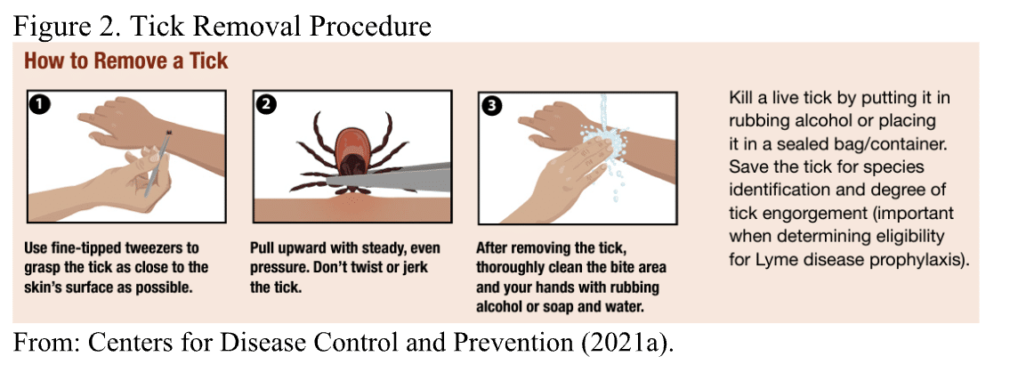 Updates from Falcon on Ticks and Lyme Disease - Falcon Camp